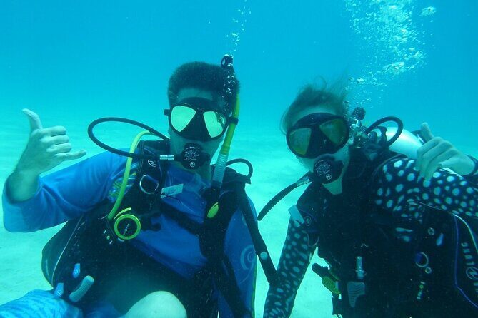 Half Day Scuba Diving Trip in the Florida Keys - The Itinerary and What To Expect
