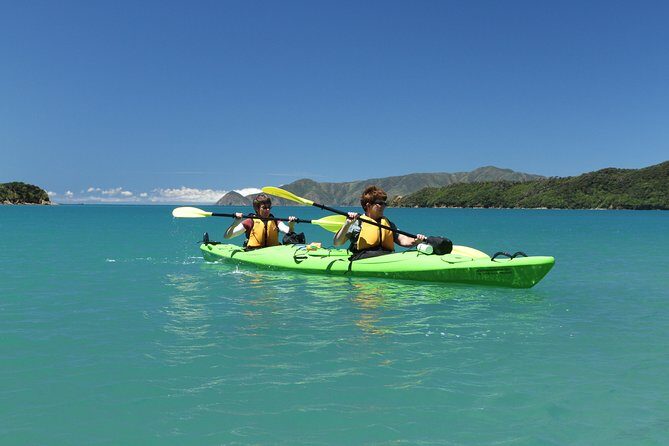Half day Sea Kayak Guided Tour from Picton - An Up-Close Look at the Experience