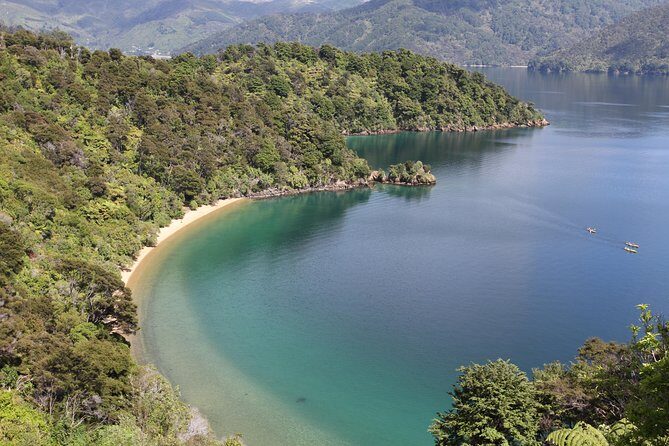 Half day Sea Kayak Guided Tour from Picton - The Practicalities: Paddling and Group Management