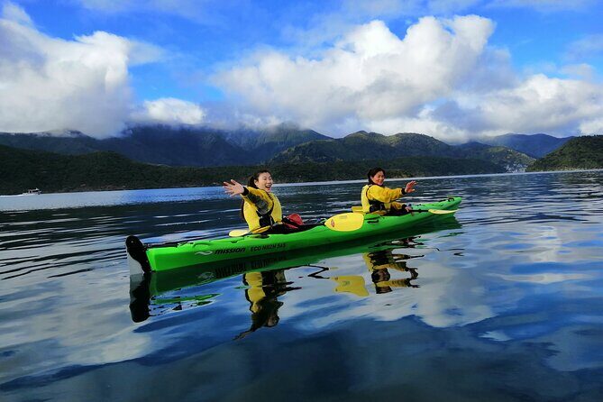 Half day Sea Kayak Guided Tour from Picton - Wildlife and Water Conditions: What to Expect