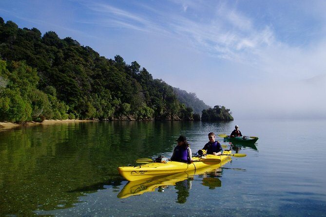 Half day Sea Kayak Guided Tour from Picton - Overall Value for Money