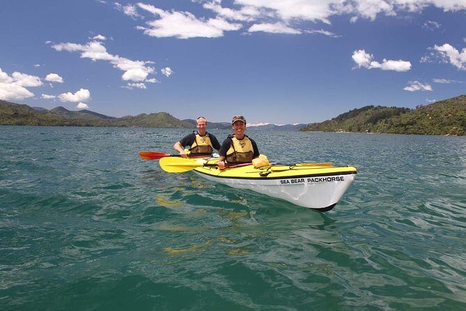 Half day Sea Kayak Guided Tour from Picton - Who Will Love This Tour?