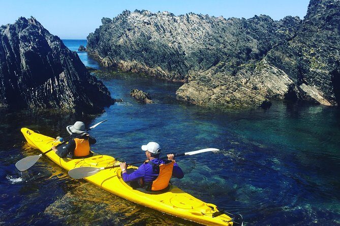 Half Day Sea Kayak Tour from Batemans Bay with Morning Tea and Snorkeling - What’s Included and What’s Not?