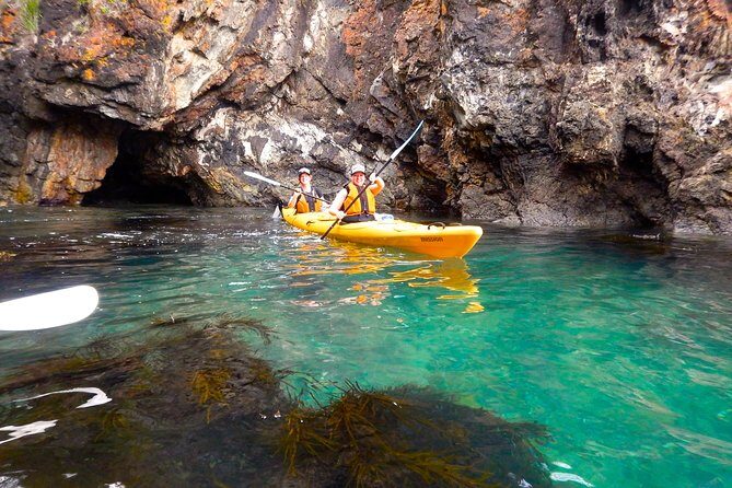 Half Day Sea Kayak Tour from Batemans Bay with Morning Tea and Snorkeling - Group Size and Personal Attention