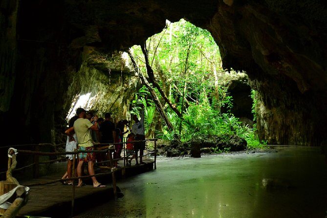 Half-Day Sea Turtle and Cenote Snorkeling Tour from Cancun & Riviera Maya - What Is This Tour All About?