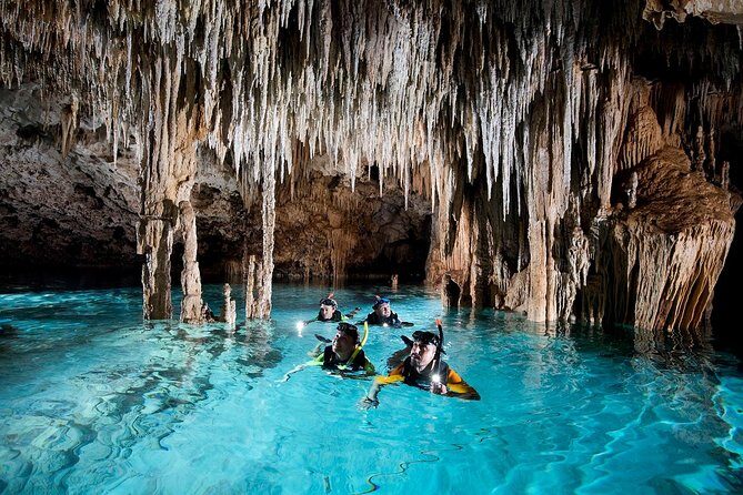 Half-Day Sea Turtle and Cenote Snorkeling Tour from Cancun & Riviera Maya - The Pros and Cons