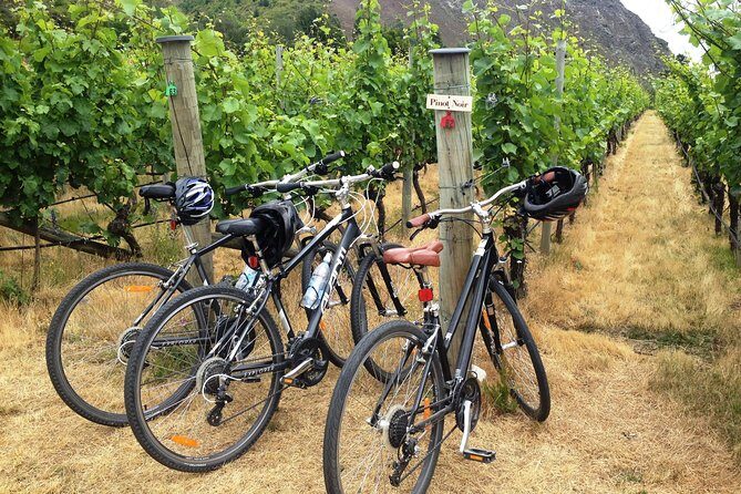 Half-Day Self-Guided Ride and Wine Bike Tour from Arrowtown - Exploring the Half-Day Self-Guided Ride and Wine Bike Tour from Arrowtown
