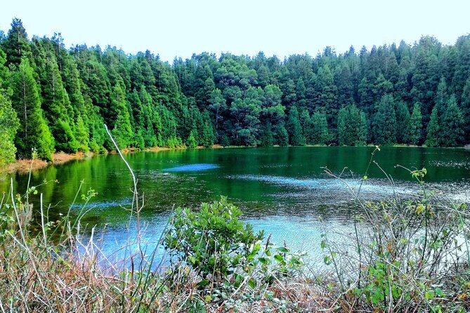Half Day Sete Cidades Crater Minivan Tour - The Sum Up