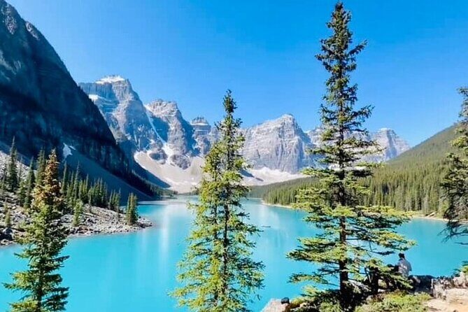 Half Day Shared Adventure to Lake Louise and Moraine Lake - The Itinerary in Detail: Making the Most of Your Short Trip