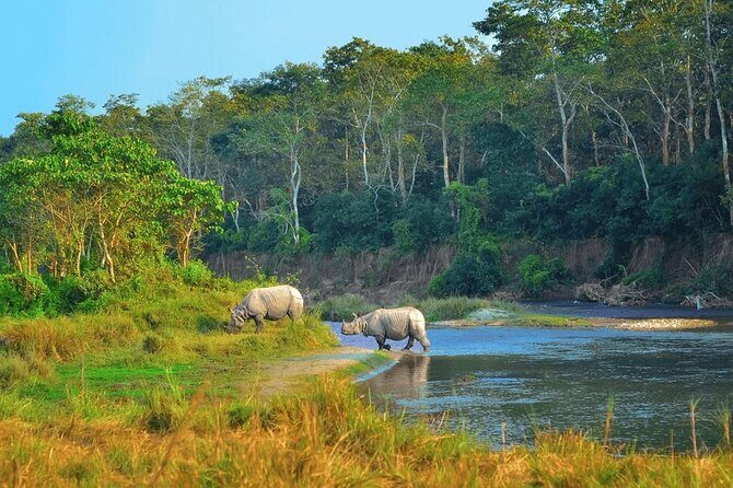 Half Day Sharing Jeep Safari in Chitwan National Park - Frequently Asked Questions
