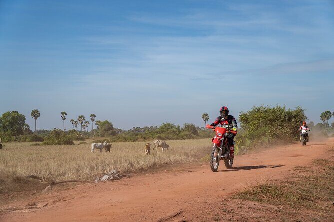 Half Day Siem Reap Off-Road Ride Tour - Final Thoughts: Who Should Consider This Tour?