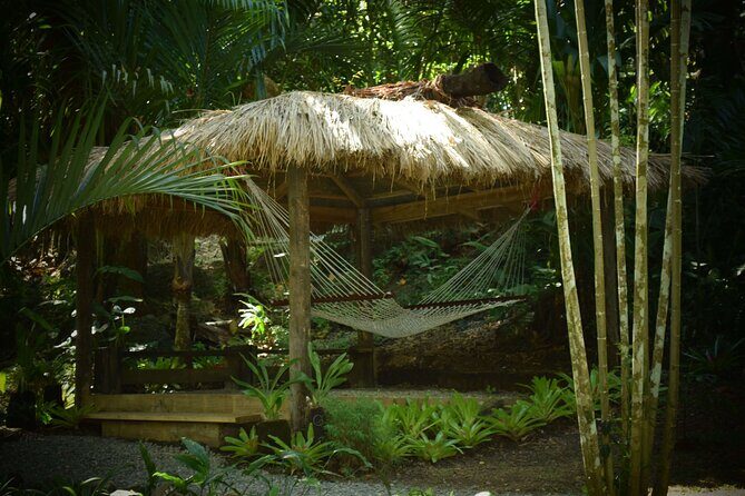 Half Day Sightseeing - Wonders of Nadi Tour - Practical Details and Value