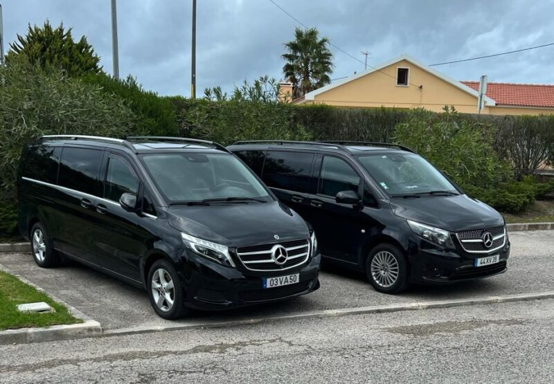 Half Day Sintra Half Day Tour - Final Thoughts: Who Is This Tour Best For?
