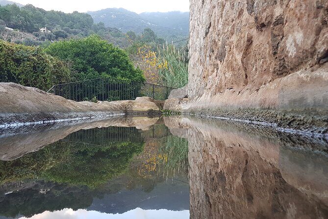 Half Day Slingshot Tour from Paguera - A Detailed Look at the Mallorca Slingshot Tour
