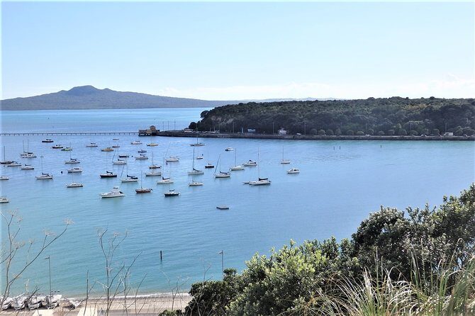 Half-Day: Small Group Auckland Scenic Tour - 4 HOURS - Introduction: Brief but Rich in Detail
