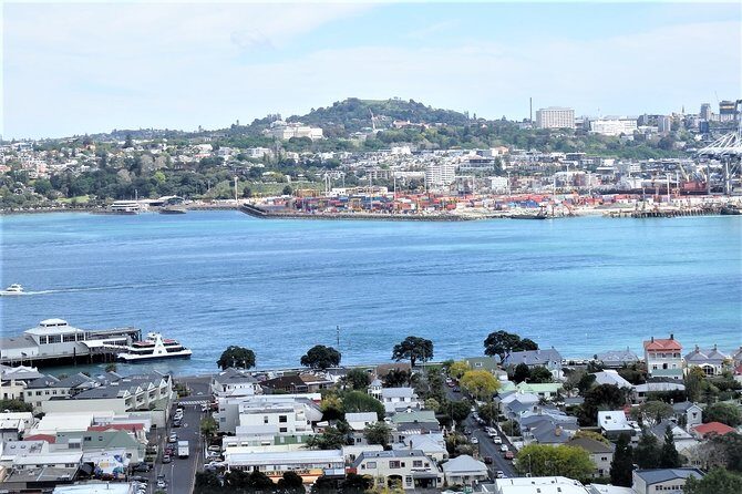 Half-Day: Small Group Auckland Scenic Tour - 4 HOURS - Final Thoughts: Who Will Love This Tour?