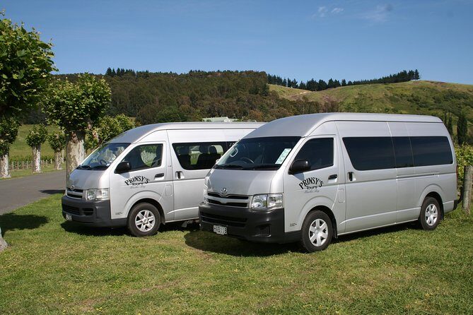 Half Day Small-Group Hawkes Bay Wine Tour - An Overview of the Experience