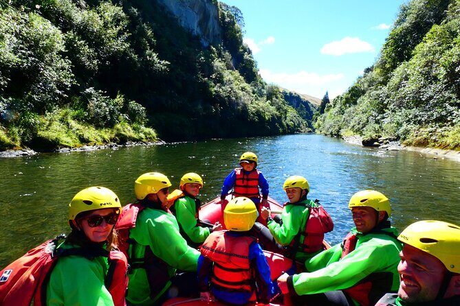 Half Day Small-Group Hawkes Bay Wine Tour - Who Will Love This Tour?