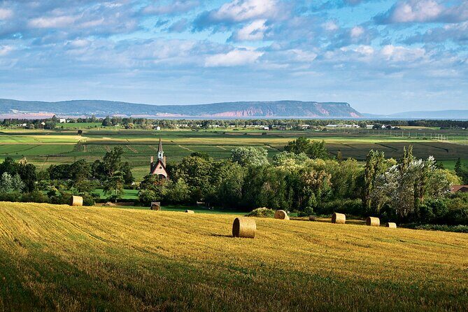 Half-Day Small-Group Tour of Annapolis Valley - The Itinerary: What You’ll See and Experience