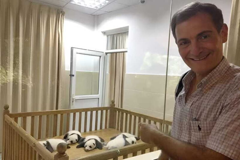 Half day small group tour to Chengdu Panda Breeding Center - The Sum Up: Who Will Love This Tour?
