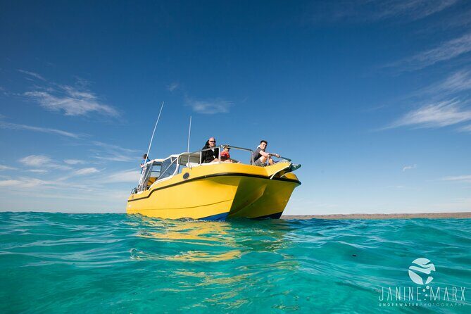 Half Day Snorkel 2.5hr Turtle Tour on the Ningaloo Reef, Exmouth - Discovering Ningaloos Underwater World