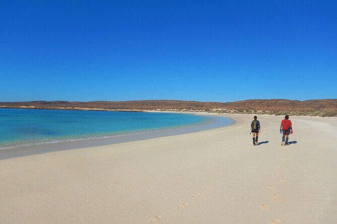 Half Day Snorkel 2.5hr Turtle Tour on the Ningaloo Reef, Exmouth - Potential Drawbacks and Considerations