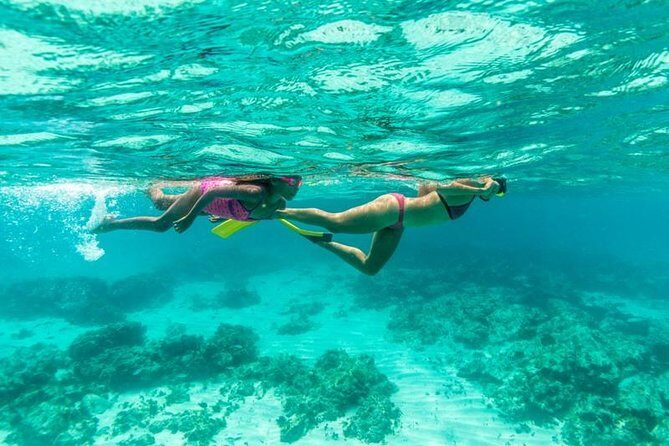 Half-Day Snorkel Sail Tour with Caribbean Lunch - The Itinerary: Snorkeling Spots and What They Offer