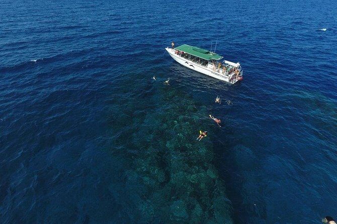Half Day Snorkel to Lanai from Kaanapali Beach + Dolphin Search - Dolphin and Whale Encounters: An Added Bonus