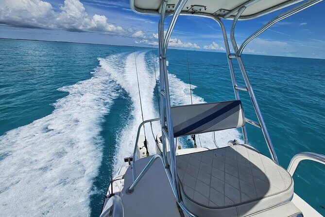 Half-day Snorkeling, Cruising, Iguana Island, Half Moon Bay - Why This Tour Is Worth Considering