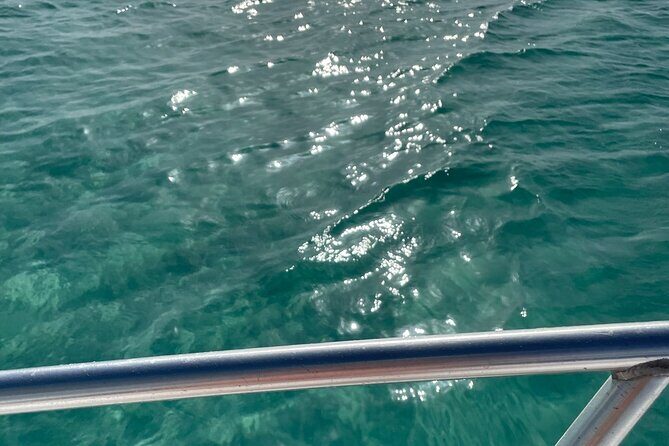 Half-day Snorkeling, Cruising, Iguana Island, Half Moon Bay - Who Would Enjoy This Tour?