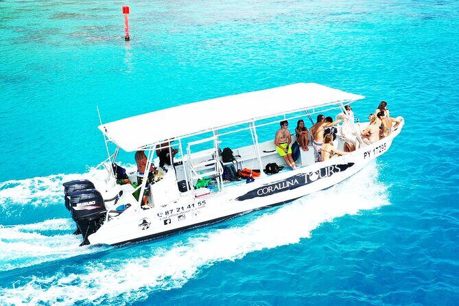 Half Day Snorkeling in Moorea - Exploring the Half Day Snorkeling in Moorea: A Genuine Adventure in French Polynesia