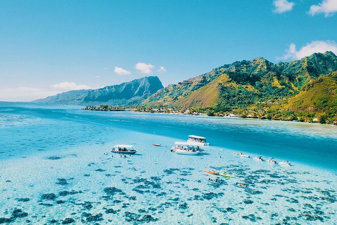 Half Day Snorkeling in Moorea - Itinerary in Detail