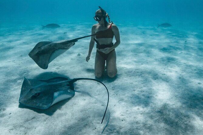 Half Day Snorkeling in Moorea - Final Word