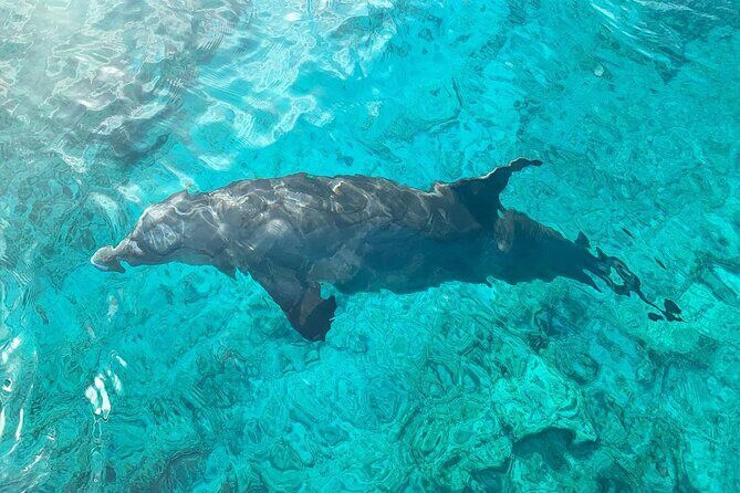 Half Day Snorkeling, Sightseeing & Island Hopping Private Charter (Afternoon) - Authentic Experiences People Love