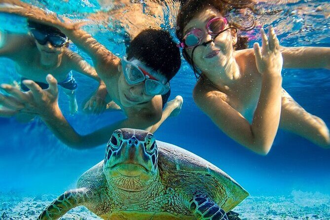 Half Day Snorkeling Tour from Margaritaville - Practical Details: What You Need to Know