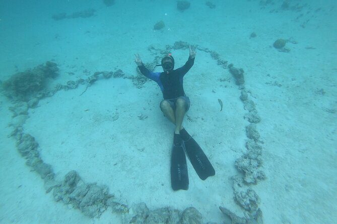 Half-Day Snorkeling Tour from Papeete - Who Should Consider This Tour?