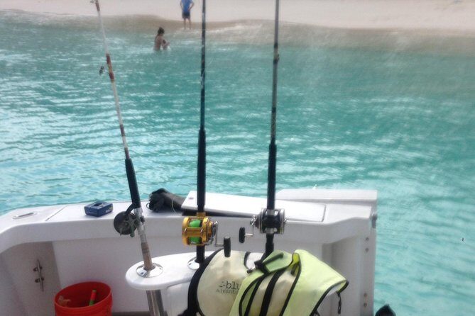 Half Day Snorkeling Tour in the Bahamas - Authentic Feedback from Travelers