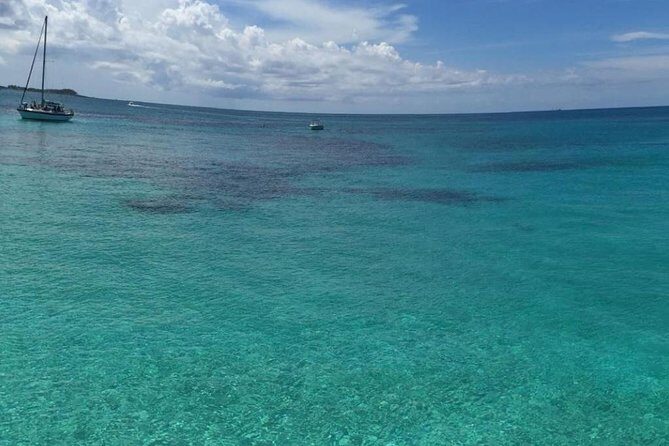 Half Day Snorkeling Tour in the Bahamas - Frequently Asked Questions