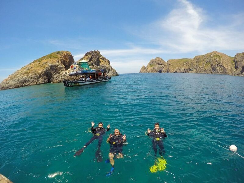 Half-Day Snorkeling trip in Nha Trang with Vietnam Active - What Does the Experience Feel Like?