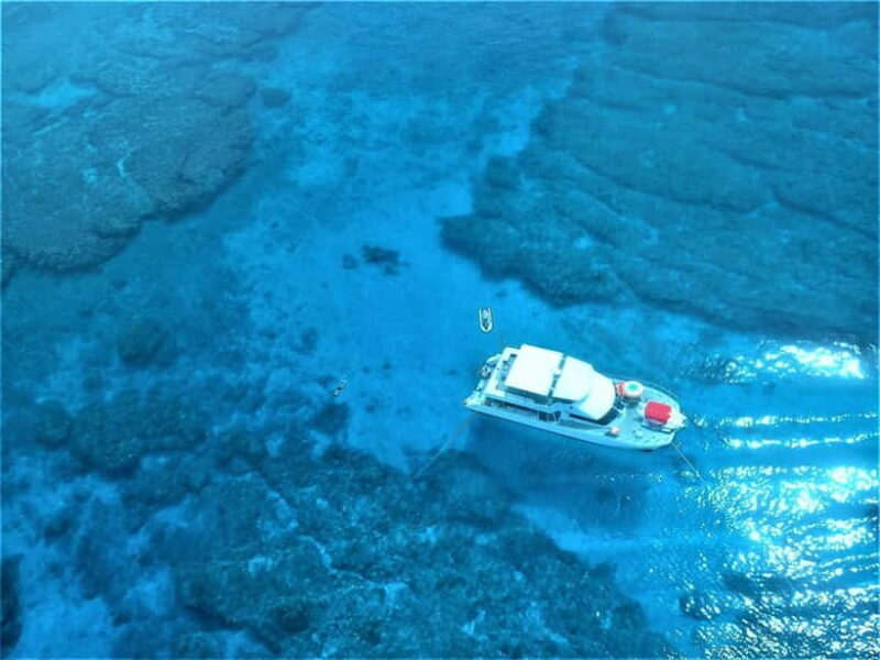 Half-Day Snorkeling Trip to Kerama - Key Points