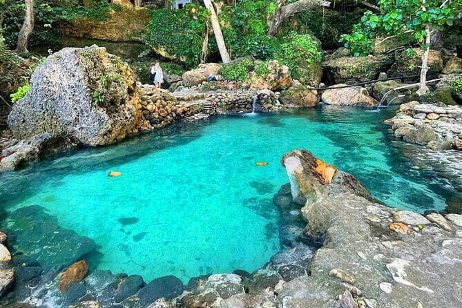 Half Day Snorkeling with Manta Ray Nusa Penida - Introduction: Why Consider This Tour?