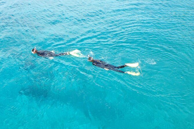Half Day Snorkelling Experience with a dive boat in Kos Greece - An In-Depth Look at the Snorkelling Tour in Kos