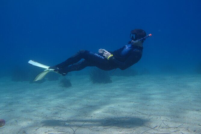 Half Day Snorkelling Experience with a dive boat in Kos Greece - Final Thoughts: Is This Tour Right for You?