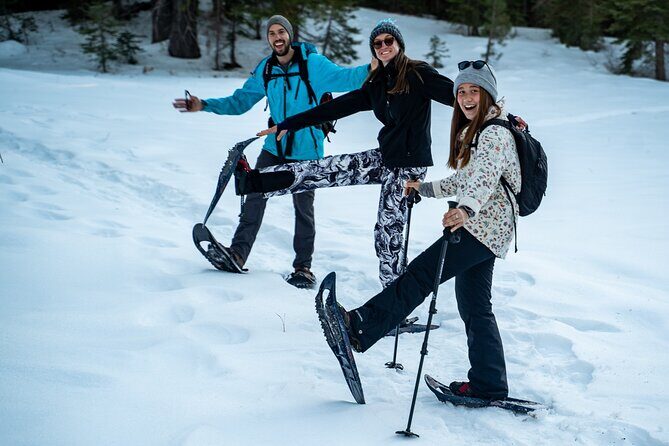 Half Day Snowshoe Hike in Tahoe National Forest - Comprehensive Review of the Tahoe Snowshoe Experience
