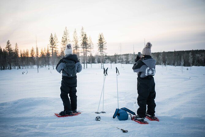 Half Day Snowshoe Hiking Adventure in Levi Lapland - Key Points
