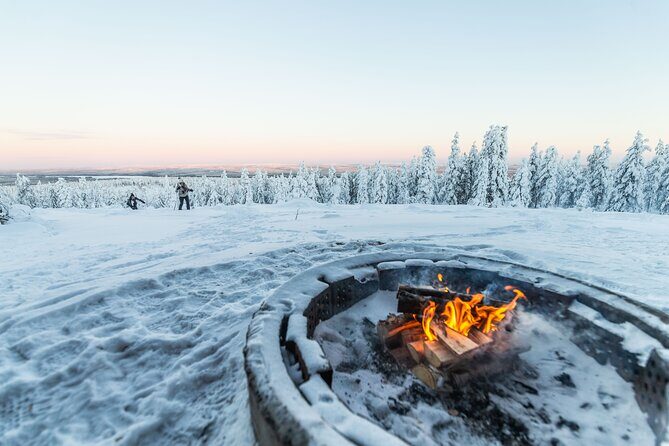 Half Day Snowshoe Hiking Adventure in Levi Lapland - The Experience’s Highlights & Challenges