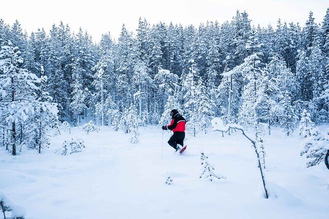 Half Day Snowshoe Hiking Adventure in Levi Lapland - The Sum Up