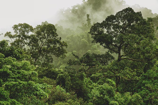 Half Day : Sok River + Monkey Temple + View Point - Practical Considerations