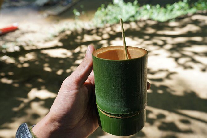 Half Day : Sok River + Monkey Temple + View Point - Who Should Book This Tour?