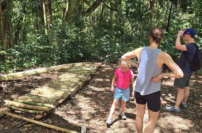 Half-Day St. Kitts Rainforest Hike - FAQs